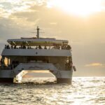 Luxury Whale Watching Dinner Cruise in Cabo - Who Is This Tour Best For?