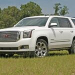 Luxury White Glove Chauffeur & Limo Service in Grand Cayman - The Experience in Context