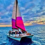 Maalaea Whale Watching Activity Visit - What Previous Guests Say