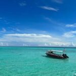 Mabul-Kapalai Islands Diving & Lunch &Photography Tour - Taking a Closer Look at the Details