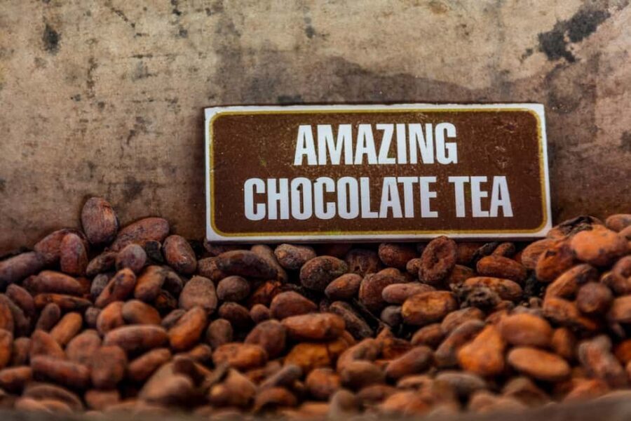 Macao Beach: Buggy Safari and Cenote Swimming with Pickup - Practical Details and What to Expect