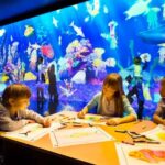 Macau: Venice 3D Light and Shadow World Admission Ticket - Highlights and Main Attractions