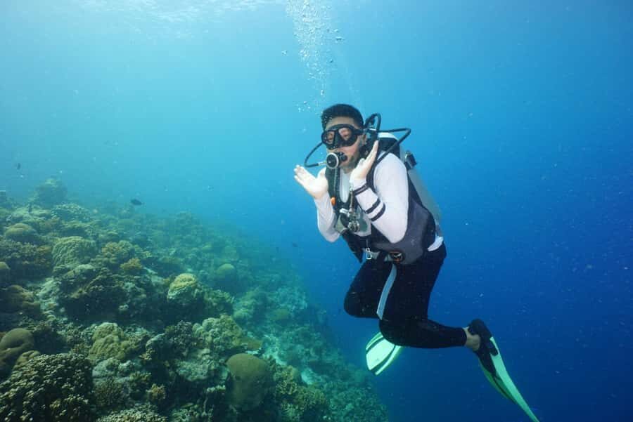 Mactan Sanctuary: Discover Scuba Diving, Island Hop, & Lunch - What makes this tour stand out?