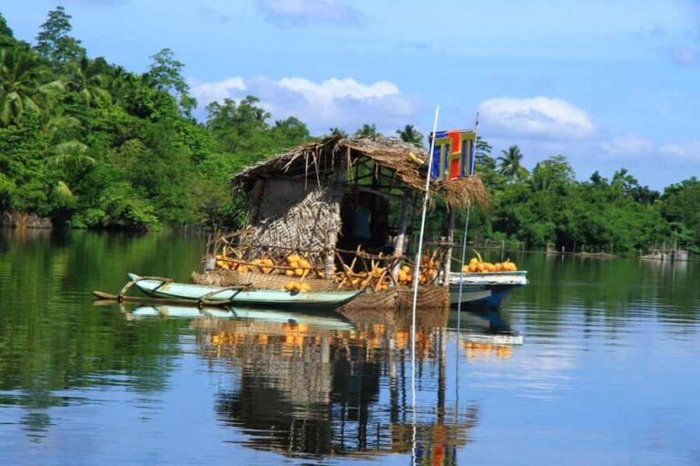 Madu River Boat Safari and Tuk-Tuk Tour Pickup & Drop-off - What Makes This Tour Stand Out