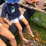 Madu River Safari from Hambantota - The Value: Does It Worth the Price?