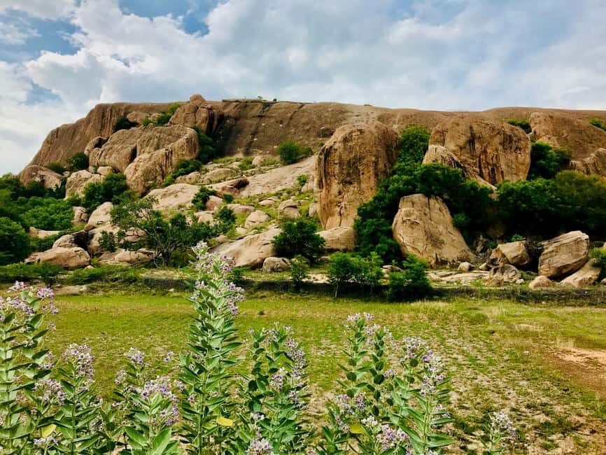 Madurai: Madurai 2-Day Tour with Meenakshi Temple Darshan - Who Should Consider This Tour?