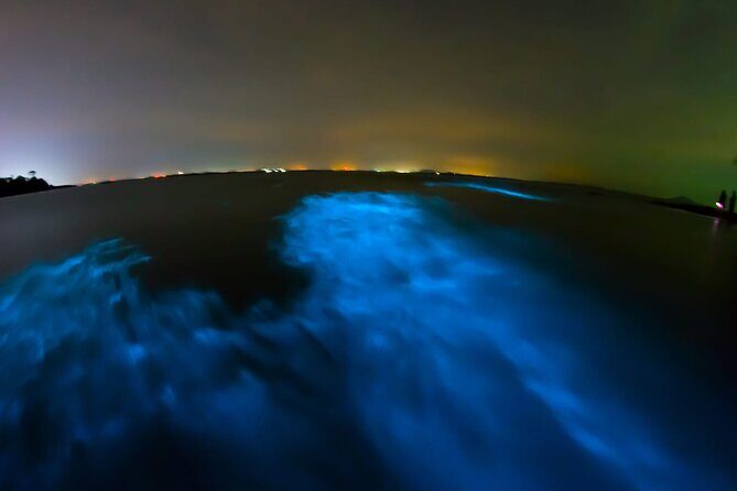 Magic Night in the Lagoon of Manialtepec Bioluminescence - Analyzing the Value and Price