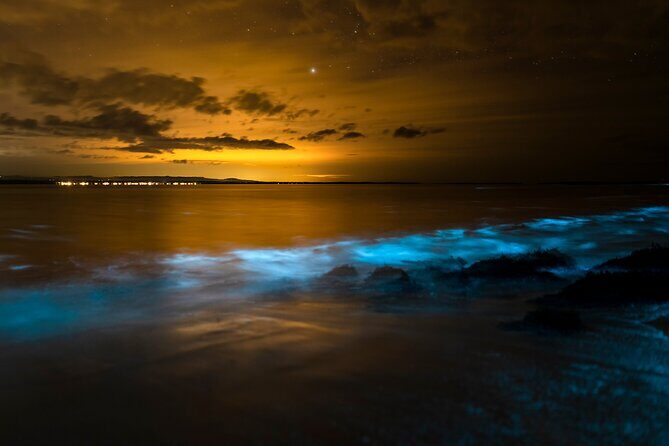 Magical Bioluminescent Night Dive - Final Thoughts: Is It Worth It?