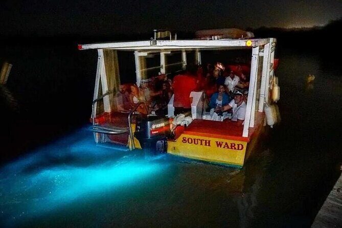 Magical Luminous Lagoon Private Tour - Practical Information for Travelers