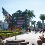 Magical Route Oaxaca Tule, Mitla, Boil Water and Mezcal - Practical Details and Value