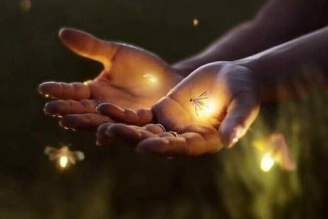 Magical Village Tour & Private Dinner with Fireflies in Bali - Breakdown of the Itinerary