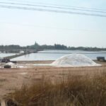 Mahachai & Maeklong Railway Market Day Tour From Bangkok - Who Will Love This Tour?