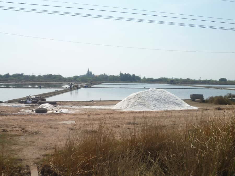 Mahachai & Maeklong Railway Market Day Tour From Bangkok - Who Will Love This Tour?