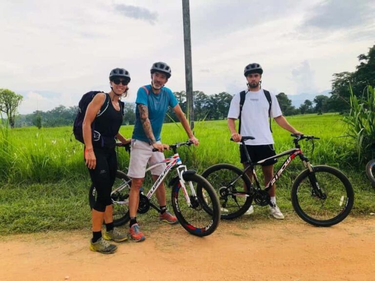 Mahiyanganaya: Guided Cycling Tour with Hotel Pickup - Detailed Breakdown of the Itinerary