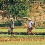 Mai Chau 1 Day: Cycle Through Peaceful Villages, Scenic Valleys - What the Tour Includes and What to Consider