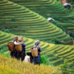 Mai Chau Immersion Cycling Adventures and Handcraft Traditions - The Experience’s Strengths and Considerations