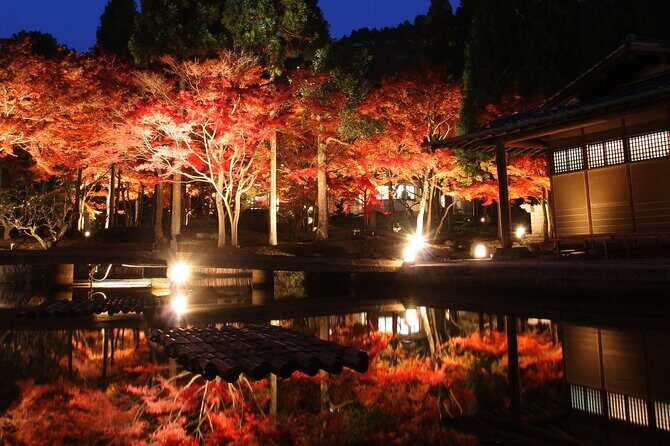 Maiko Dance and Autumn Leaves Illumination at Kitano Tenmangu TW - Final Thoughts