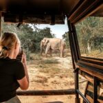 Majestic Sri Lanka in 13 Days All Inclusive VIP Tour by Sithiyam - Who Will Appreciate This Tour?