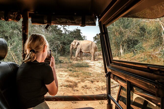 Majestic Sri Lanka in 13 Days All Inclusive VIP Tour by Sithiyam - Who Will Appreciate This Tour?