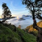 Malang: Bromo & Tumpak Sewu Shared Transfer & Tour - What You Can Expect on the Tour