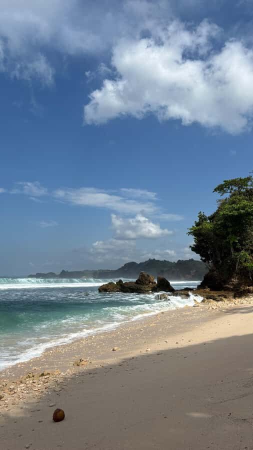Malang: Private 4WD Jeep Tour to Batu Bengkung Beach - Who Should Consider This Tour?