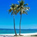 Malapascua Island Day Tour from Cebu City - The Experience in Real Terms