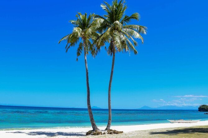 Malapascua Island Day Tour from Cebu City - The Experience in Real Terms