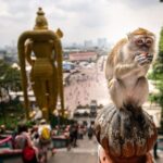 Malaysia - Countryside and Batu Caves Tour from Kuala Lumpur - Value and Practical Considerations