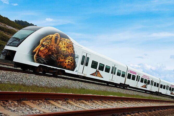 Malaysia: KLIA Ekspres Airport Train Ticket - Reviews and Real Traveler Insights