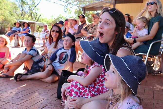 Malcolm Douglas Crocodile Park Tour Including Transportation - The Bottom Line: Is It Worth It?