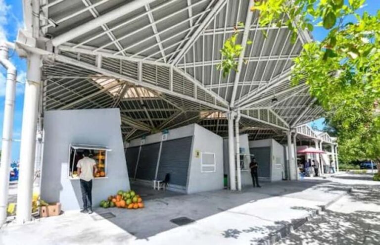 Maldives : Hulhumale Guided Tour with Local Guide - What Does the Tour Feel Like?