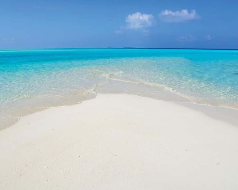 Maldives: Snorkeling with Nurse Sharks, Coral Reef, Sandbank - What the Tour Includes & Practical Details