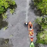 Manado: Tarsier Mangrove Forest Kayak Tour - What to Expect During the Tour