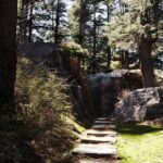 Manali Nature Walk (3 Hours Guided Trekking Experience) - Who Would Enjoy This Experience?