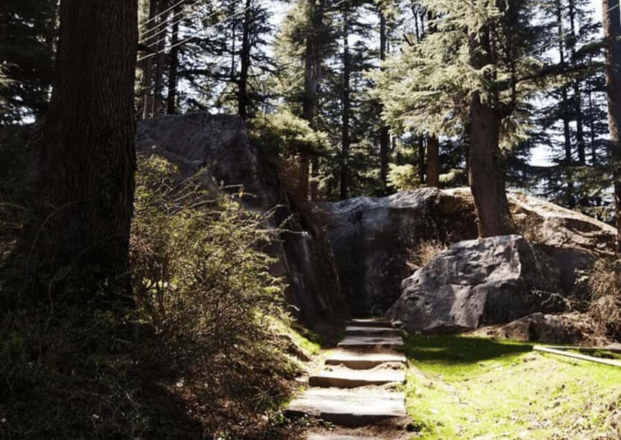 Manali Nature Walk (3 Hours Guided Trekking Experience) - Who Would Enjoy This Experience?