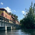 Manatee Encounter Guided Eco Kayak or Paddle Board Adventure - The Sum Up