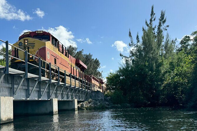 Manatee Encounter Guided Eco Kayak or Paddle Board Adventure - The Sum Up