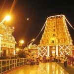 Mangalore Shore Excursion - Seabourn & Oceania - Who Will Enjoy This Tour?