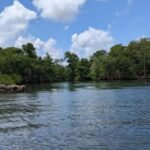 Mangove boat tour - Rio San Juan Guided 4-6 hour tour - Authentic, Eco-Friendly, and Well-Organized