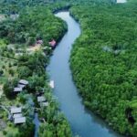Mangrove Day Tour - Bintan - What to Expect from the Mangrove Day Tour