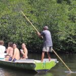 Mangrove Forest by Boat, Kayaking, Stand Up Paddle at Lembongan - Practical Details and Tips