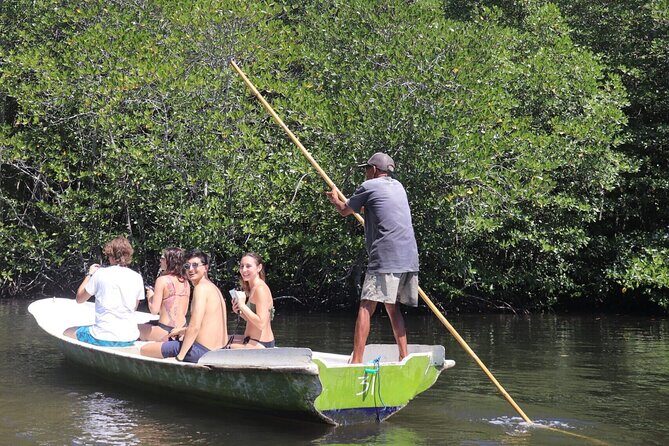 Mangrove Forest by Boat, Kayaking, Stand Up Paddle at Lembongan - Practical Details and Tips