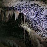 Mangrove Tour 3hour + Beach Swim + Free Lunch - The Sum Up: Is It Worth It?