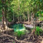 Mangroves, Mogotes and Mountains from Punta Cana - Is This Tour Worth the Cost?