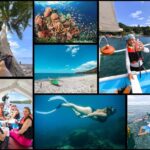 Manila: Beach Snorkel and Island Hopping - What to Expect on the Tour