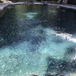 Manila: Hidden Valley Springs Day Tour with Lunch - An Entertaining and Relaxing Day in Nature