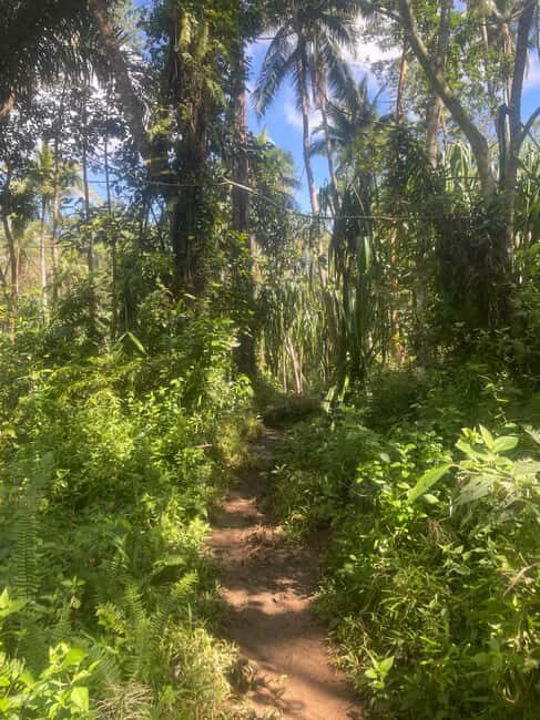 Manila: Hulugan Falls Private Guided Hike with Hotel Pickup - Who Should Consider This Tour?