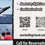 Manta Ray Night Snorkel Adventure in Kailua-Kona - Final Thoughts: Is This Tour Right for You?