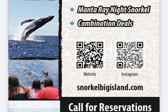 Manta Ray Night Snorkel Adventure in Kailua-Kona - Final Thoughts: Is This Tour Right for You?
