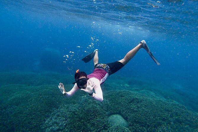 Manta Ray Snorkeling From Bali - The Authentic Touch: Reviews and Real Experiences